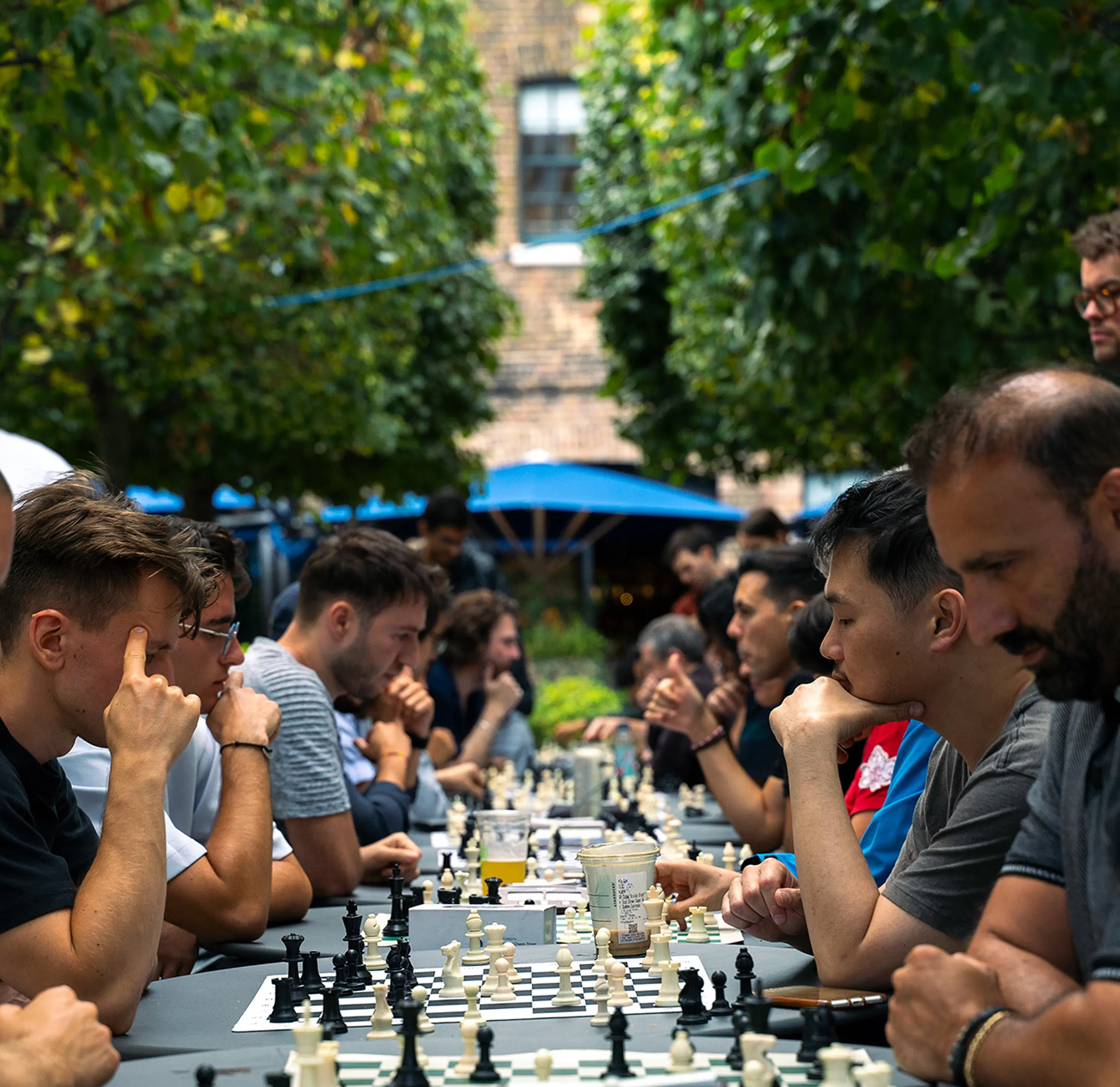 ChessDojo Training Program